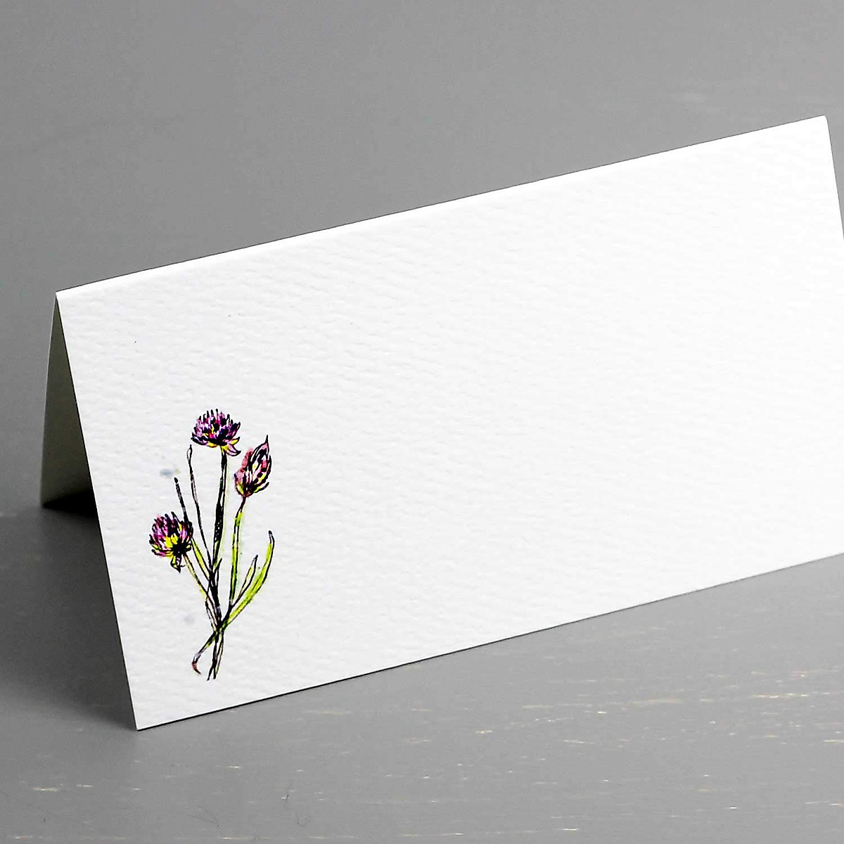 HERB Place Cards (4 Herbs) for Dinner Parties and Events. Table Tent Style, Scored for Easy Folding. Available in Packages of 12, 24, 48 (24) Multi