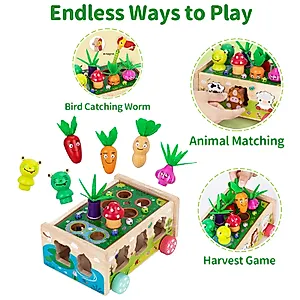 KMTJT Montessori Wooden Toddler Toys for 1 2 3 Years Old Boys Girls, Shape Sorting Toys First Birthday Gifts for 1-2 Years, Wood Animal Farm Car Preschool Educational Fine Motor Skills Toy