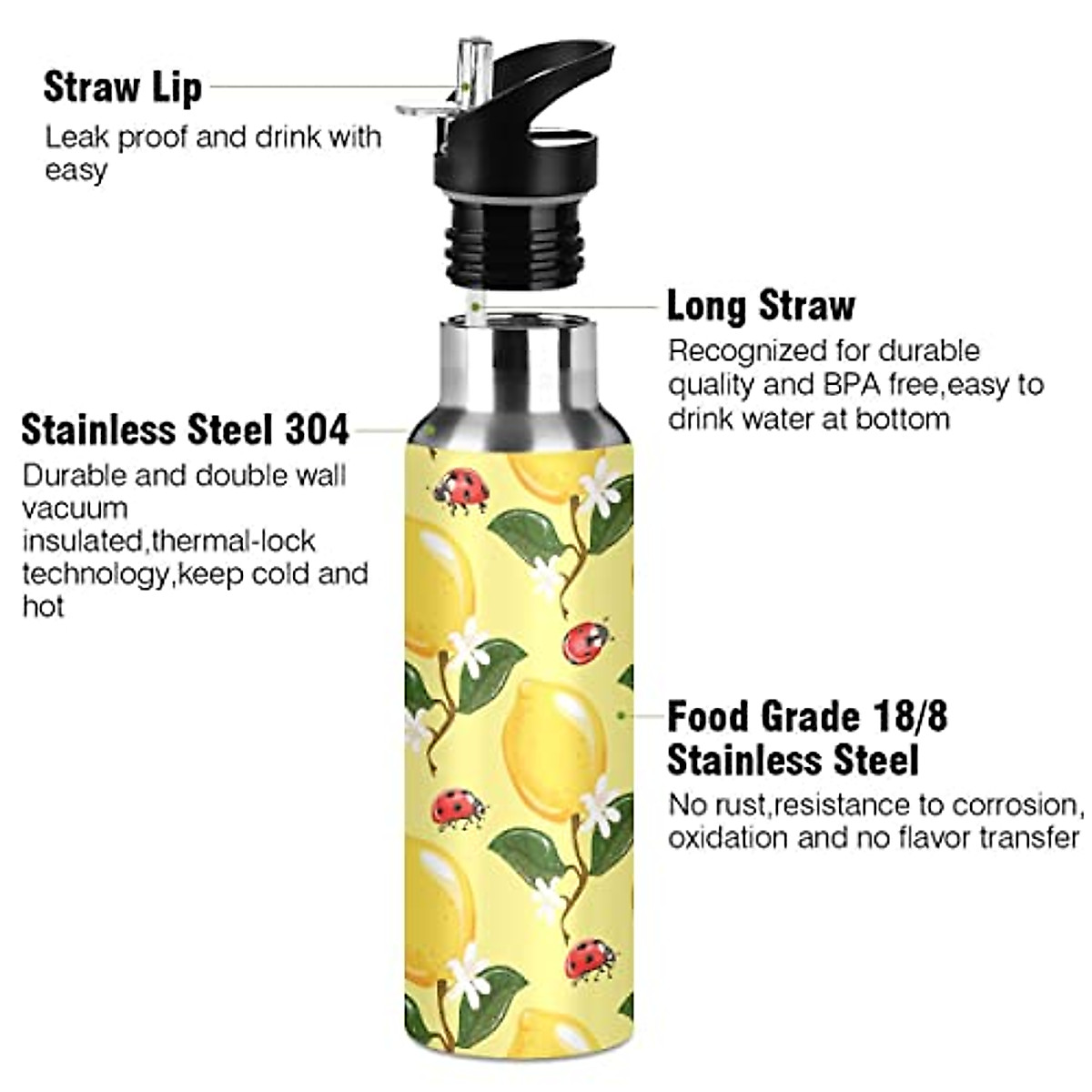 xigua Ladybug Water Bottle Double Walled Stainless Steel Leak Proof Thermo Flask for Sports Gym Cycling Outdoor,20 oz.