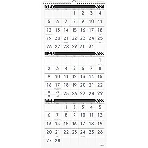 2022 Wall Calendar by AT-A-GLANCE, 12" x 27", Large, 3-Month Reference, Wirebound, Contemporary (PM11X28)
