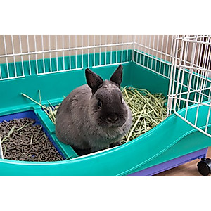 IRIS USA Large Portable Wire Rabbit Cage with Top Access and Two Tray Division, Easy Access Secure Lock and Easy to Clean Movable House for Small Sized Animals Rabbit Guinea Pigs Rat Hamster, Green
