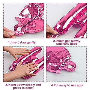 ANYI16 Happy Birthday Balloons Decorations set 13pcs Pink Foil Mylar letter Balloons Banner 12pcs Latex Confetti Balloons 2pcs Giant Star Balloons for Birthday Party Decorations and Supplies(pink)