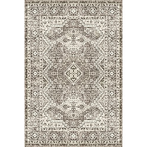 Rugland Stain Resistant Washable Rug, Anti Slip Backing Rugs for Living Room, Boho Vintage Tribal Area Rugs (TPR07-Ivory, 8'x10')