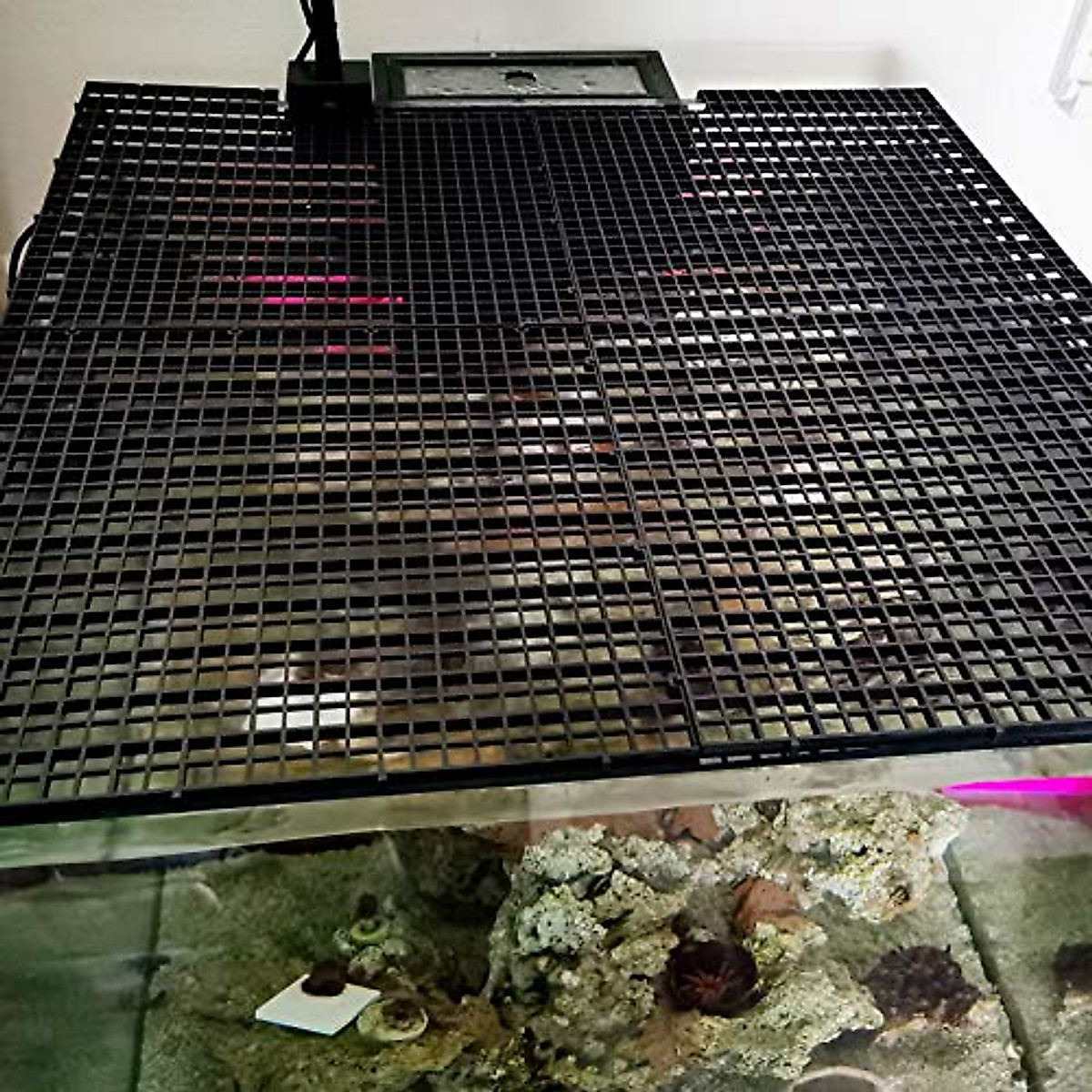 OIIKI 2PCS Egg Crate for Aquarium, Grid Tank Divider Tray, Fish Tank Bottom Isolation, with 4PCS Sucker Clip, for Mixed Breeding (Black)