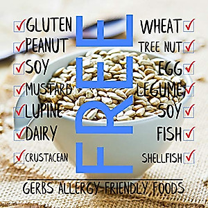 Unsalted Sunflower Seed Kernels by Gerbs – 2 LBS - Top 11 Food Allergen Free & Non GMO - Premium Dry Roasted Shelled Sunflower Seeds – COG USA