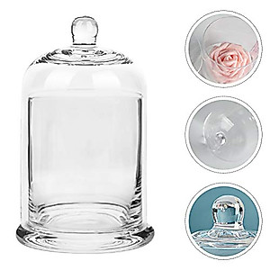 GANAZONO Decorative Cloche Jar 1 Set Glass Cloche Dome Candle Holder Bell Jar Tabletop Decorative Case Covered Plants Terrarium Jar Plant Cover for Cake Dessert Display Transparent Dessert Dome Cover