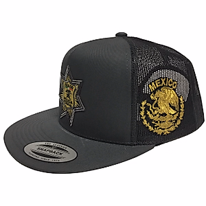 Policia Federal De Mexico Logo Federal 2 Logos Hat Dark Grey Mesh
