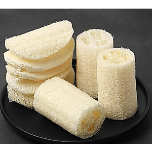 for 2024! Luffa Gourd Seeds/Loofah Gourd Seeds for Planting Vegetables and Fruits.Non-GMO Vegetable Seeds for Planting Home Garden-Loofah Sponge Gourd 丝瓜(10 Loofah Seeds)