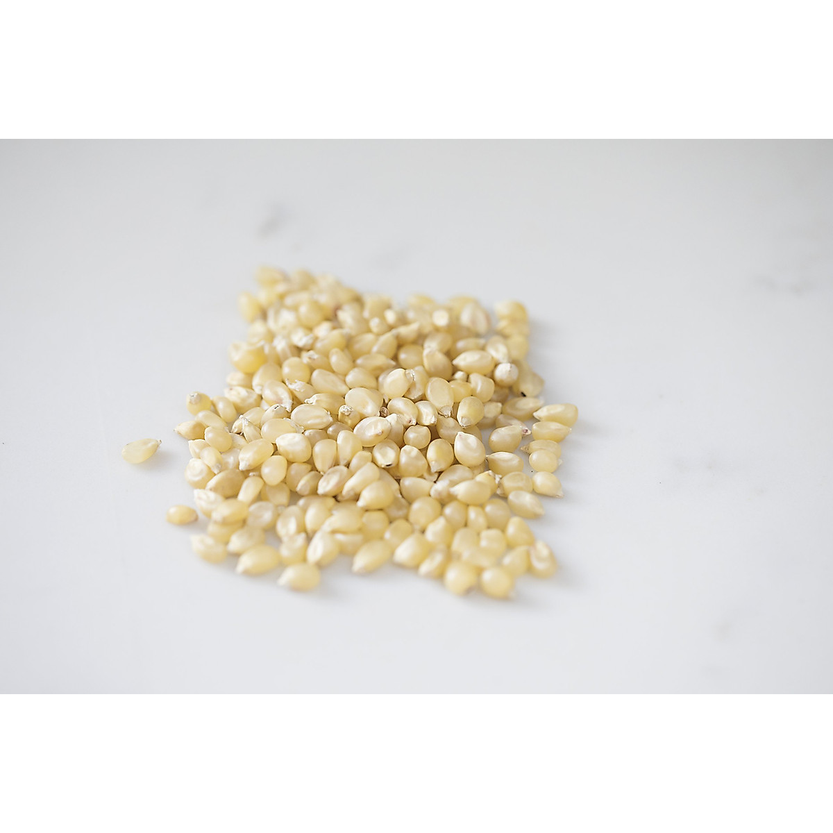 Amish Country Popcorn | 1 lbs Bag | Medium White Popcorn Kernels | Old Fashioned, Non-GMO and Gluten Free (Medium White - 1 lbs Bag)