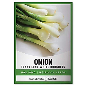 Green Onion Seeds for Planting - Tokyo Long White Bunching is A Great Heirloom, Non-GMO Vegetable Variety- 200 Seeds Great for Outdoor Spring, Winter and Fall Gardening by Gardeners Basics