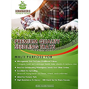 Germinator 6 Pack Premium Quality Seedling Trays, Microgreens Growing Trays, No Drain Holes, Heavy Duty, Durable Plastic, 1.5mm Thick, Plants Drip Tray, Best for Sprouting Vegetables and Wheatgrass