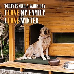 SwSun Outdoor Pet Heating Pad Waterproof, 80W Heated Cat Bed Built-in Auto Thermal System, Energy Saving and Environmental Protection, Ideal Used Outdoor for Cats, Dogs, Rabbits, and Other Pets