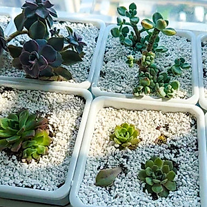 3 Quarts Perlite for Plant Soil - Amendment for Potting Soil, Improves Drainage and Aeration for Soil,Better for Root Growth…