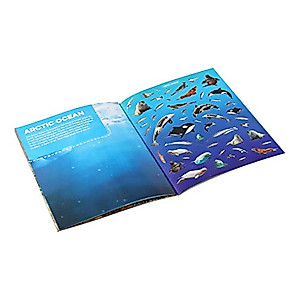 Discovery Real Life Sticker Book: Ocean (Discovery Real Life Sticker Books)