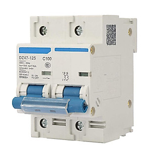 400V 80/100/125A Electric Circuit Breaker 2 Pole Circuit Breaker MCB Leakage Switch DZ47-125 Current Miniature Circuit Breaker (100A)
