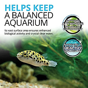 Fluval FX4/FX5/FX6 Bio-Foam, Replacement Aquarium Filter Media, 2-Pack, A239