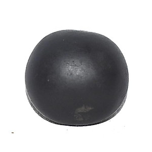 Krishna Shaligram/Santan Gopal Shaligram