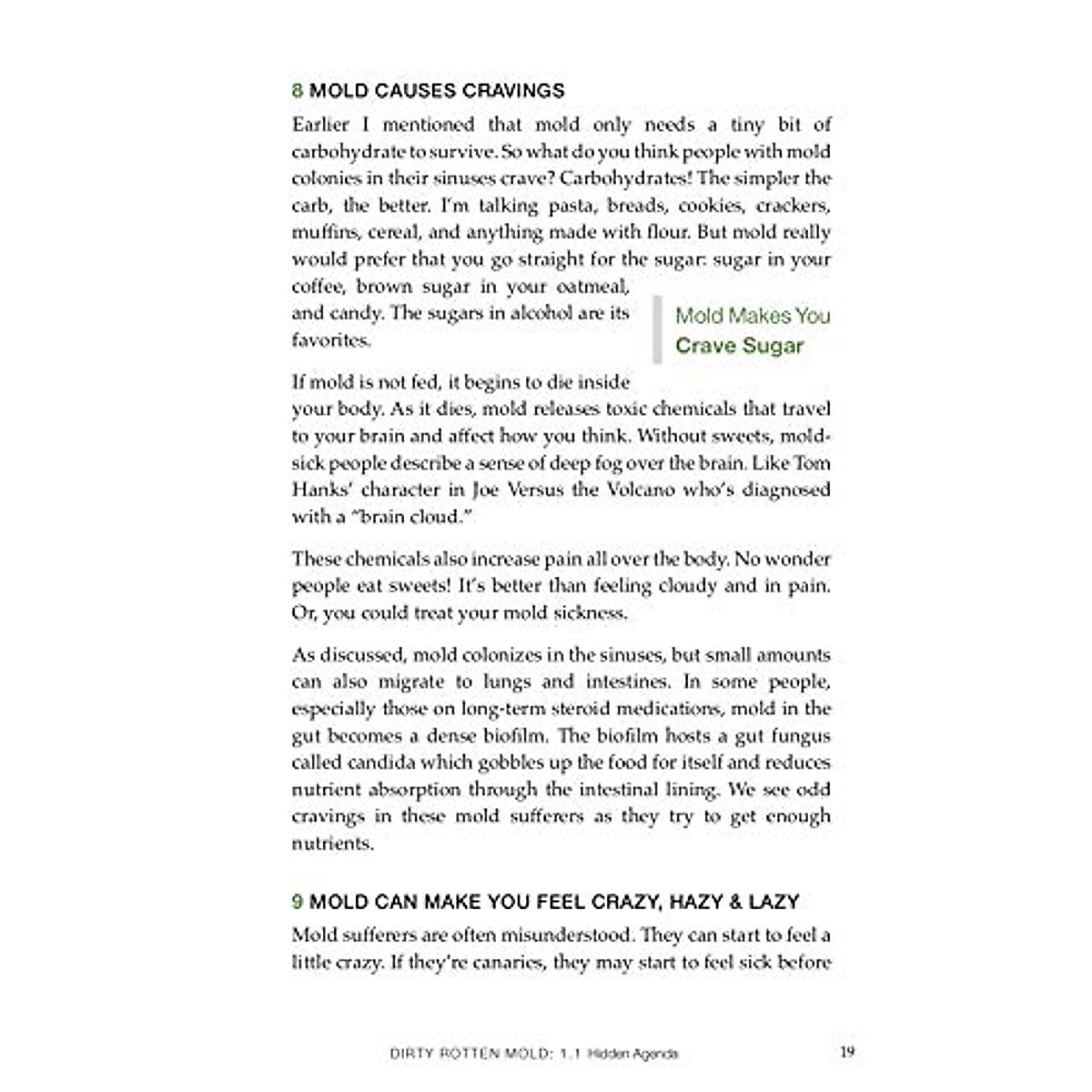 Break the Mold: 5 Tools to Conquer Mold and Take Back Your Health