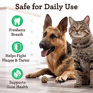 VetPro Complete Dr. Joseph's Advanced Dental Cleanse, 8 Ounces, Cat and Dog Breath Freshener Water Additive for Dental Care, Fights Dog Bad Breath, Teeth Cleaning, Plaque and Tartar Remover