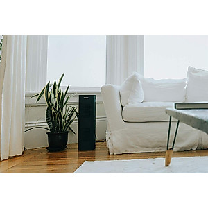 Whirlpool Whispure WPT80B, True HEPA Purifier, Activated Carbon Advanced Anti-Bacteria, Ideal for Allergies, Odors, Pet Dander, Mold, Smoke, Smokers, and Germs, Large, Black