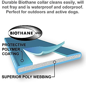 Educator RX-1000 Receiver On Biothane Collar for E-Fence Underground Fence Containment System for Dogs, Black