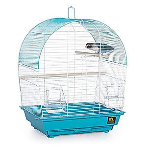 Prevue Pet Products South Beach Dome Top Bird Cage, Teal (SP50071),14 1/8" L x 11 1/4" W x 18 1/8" H