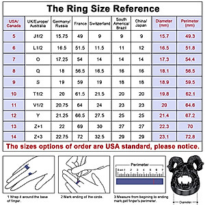 FaithHeart Rapper Biker Rings for Male Size 9 Stainless Steel Satan Church Jewelry Baphomet Goat Head Pinky Finger Charms