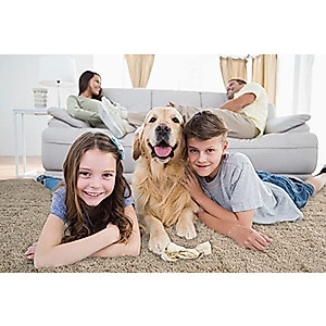 Fosirug Soft Fluffy Shag Area Rugs for Bedroom Carpet, Camel Shaggy Rug for Kids Girls Boys Room, Plush Fuzzy Rugs for Living Room Nursery Home Decor Floor Rug, Modern Bedside Rug, 4x6 Feet