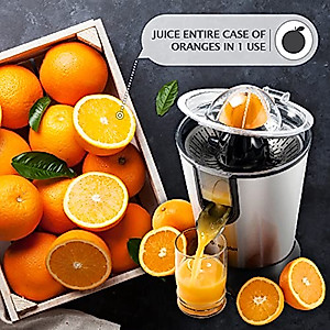 Eurolux Electric Citrus Juicer Squeezer, for Orange, Lemon, Grapefruit, With 160 Watts of Power, Brushed Stainless Steel