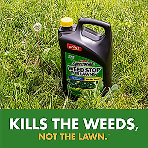 Liquid Fence Deer & Rabbit Repellent, 32 Fl Oz (Pack of 6)