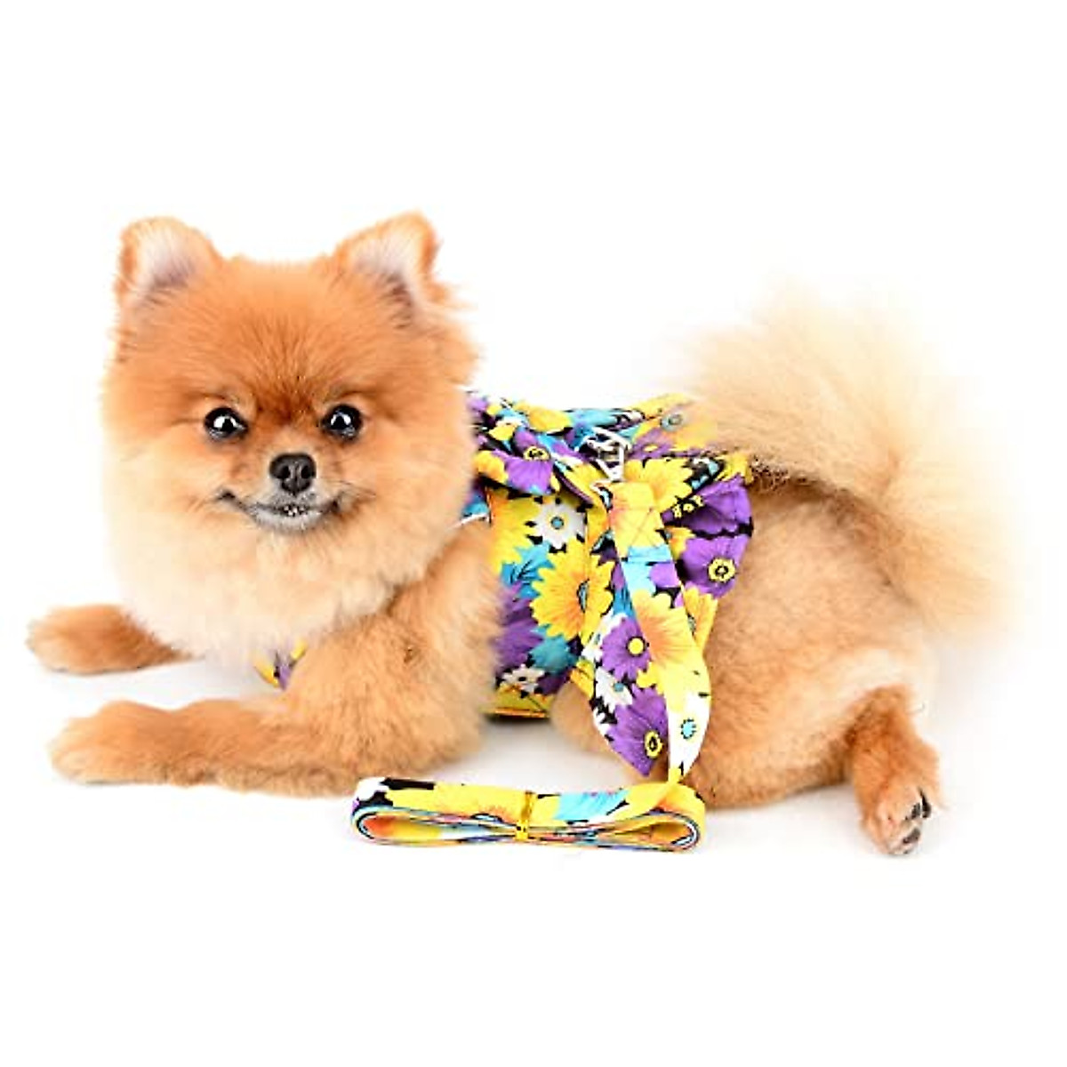SMALLLEE_LUCKY_STORE Dog Floral Harness Dress with Leash Set,Bow Puppy Princess Dress for Small Medium Dog Cat Girls Adjustable Pet Skirt with D-Ring Female Dog Clothes Summer Apparel,Purple,M