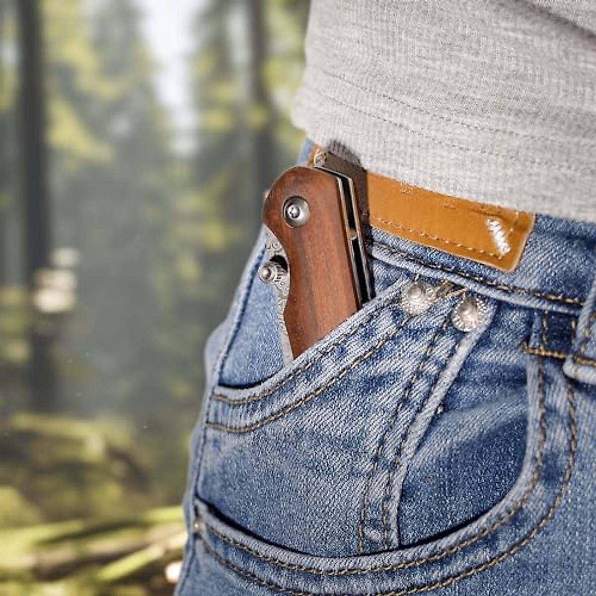 BARRYSAIL Damascus Small Pocket Knife, Folding Knife with 2.4 Inch Blade, Liner Lock, Wood Handle for EDC, Outdoor Camping, Survival