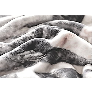 USA 100 Dollar Blanket, Traveling, Hiking, Camping, Full Queen, TV, Cabin, Couch, Bed Throw. 75" Wx90 H 3.5LBS, Reversable, Fuzzy Mink Cozy Warm Home Fashion