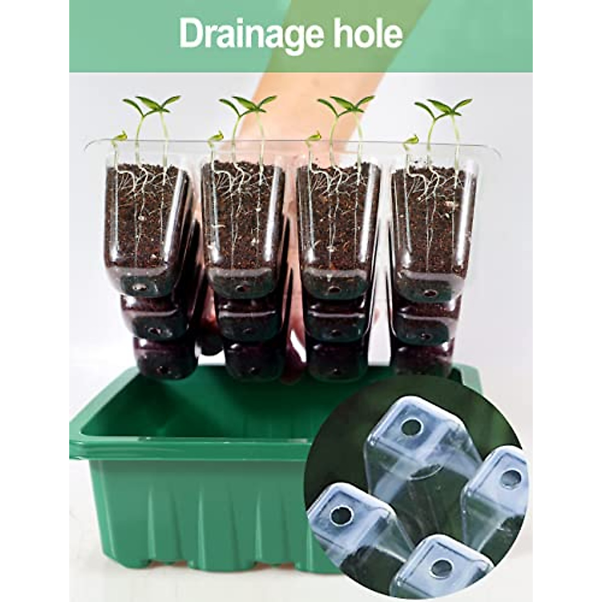 14 Packs Seed Starter Tray, 168 Cells Total Tray, Seed Starting Kit with Adjustable Humidity Dome and Base Plant Starter Kit Mini Greenhouse Germination Kit with 2 Garden Tools and 20 Plant Labels