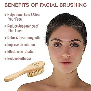 Dry Brush for Face for Smooth Radiant Skin by Zen Me, Natural Face Exfoliator Tool to Unclog Pores, Promote Lymph Flow & Reduce Swelling, Facial Brush with Natural Boar Bristles & Polished Wood Handle
