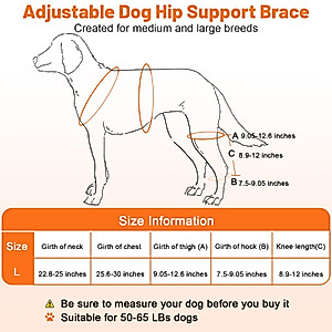 Heylaca Dog Knee Brace with Harness Adjustable Dog ACL Knee Brace for Luxating Patella, Cruciate Ligament Injury and Joint Pain, Rear Leg Braces for Medium & Large Breeds (Suitable for 50-65 LBs Dogs)