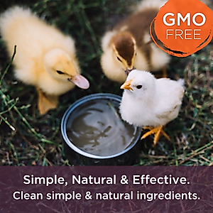 Dr. Connie's Probiotic + Electrolyte for Farm Animals | Supplement to Support A Healthy Gut | Veterinarian Formulated