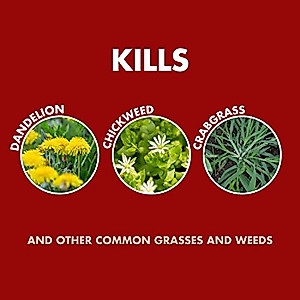 Spectracide Weed and Grass Killer, Pack of 1