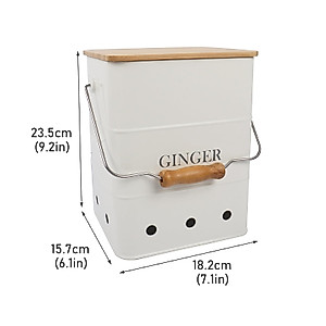 Eco-Friendly Bamboo Lid Metal Garlic Storage Box with Ventilated Countertop Vegetable Bin for Ginger, Potatoes, and Onions - Airtight, Portable Kitchen Organizer