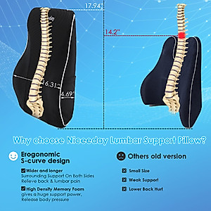 Lumbar Support Pillow for Office Chair Car Lumbar Pillow Lower Back Pain Relief Memory Foam Back Cushion with 3D Mesh Cover Gaming Chair Back Pillow Ergonomic Orthopedic Back Rest for Wheelchair Desk