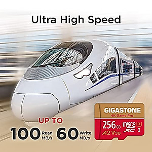 [5-Yrs Free Data Recovery] Gigastone 256GB Micro SD Card, 4K Game Pro, MicroSDXC Memory Card for Nintendo-Switch, GoPro, Action Camera, DJI, UHD Video, R/W up to 100/60MB/s, UHS-I U3 A2 V30 C10