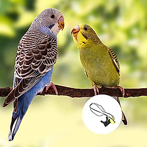 STOBOK 1 Set Bird Harness, Parrot Bird Harness Leash Adjustable Bird Flying Harness Traction Rope for Parrots Pigeons Budgerigar Lovebird Cockatiel Mynah, Size L