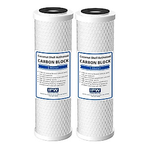 RB-FXSVC Comparable Filter for The FXSVC, D-250A, Pentek P-250 and P-250A Dual Stage Filters, 2-Pack by IPW Industries Inc