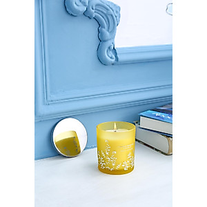 Coconut Mandarin and Vanilla Wood Wick Scented Candle | Big Candle for Home Decor 10.6 oz Scented Soy Candle, Relaxing Candles for Women and Men, Aromatherapy Candle Gift