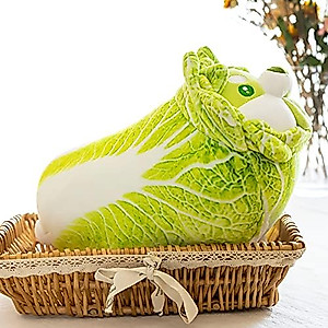 Maomoto Cabbage Dog Plush Toys Vegetable Dog Toy, 15.7" Cabbage Shiba Inu Corgi Akita Dog Stuffed Figure, Cute Vegetables Dog Hugging Pillow, Soft Toy Children's Gift