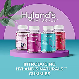 HYLAND'S Naturals Organic Elderberry Plus Gummies + Apple Cider Videgar Blast Gummies - 120 Vegan Adult Gummies (60 of Each)