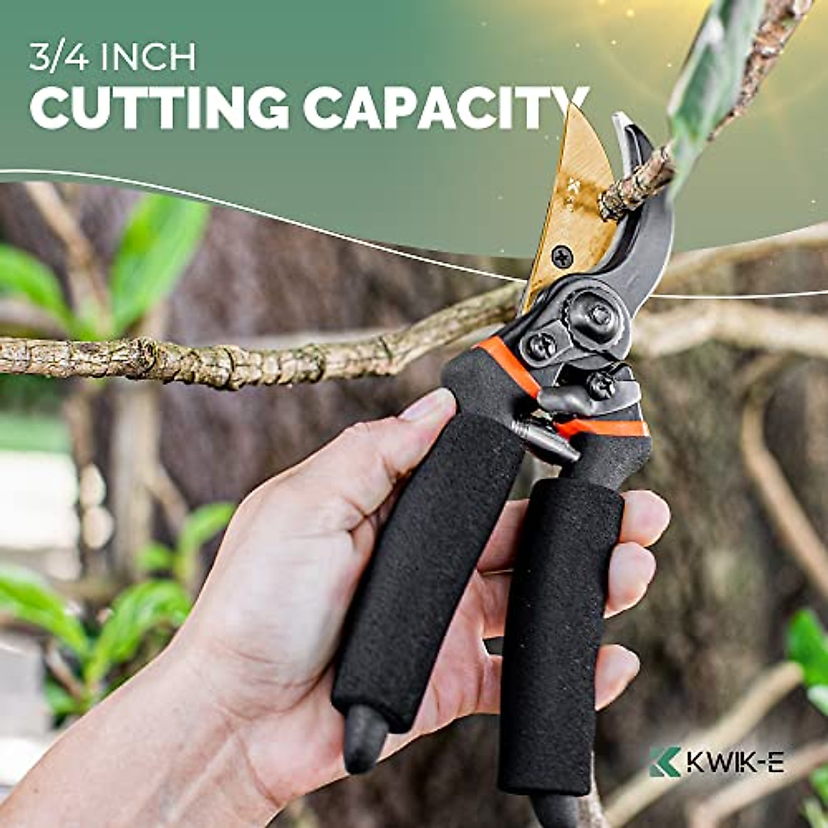 Pruning Shears for Gardening Heavy Duty, Premium Garden Scissors, Flower Cutter for Stems, Gardening tool - Cuts Branches and Flower Stems Up to 3/4'' in Diameter
