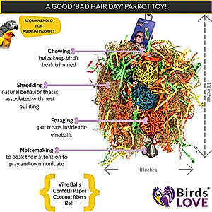 Birds LOVE Bad Hair Day Bird Toy for Medium Parrots, Preening Chewing Foraging Toy for Cage, African Grey Eclectus Cockatoos Amazons Mini Macaws