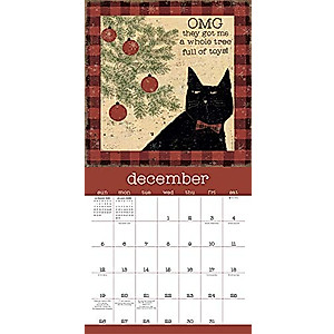A Year of Snarky Cats 2021 Wall Calendar