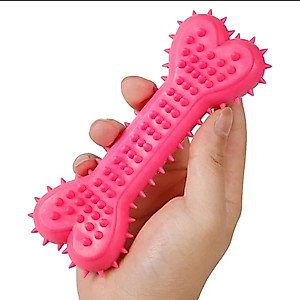 Dog Bone Dental Care ChewToy (Blue)